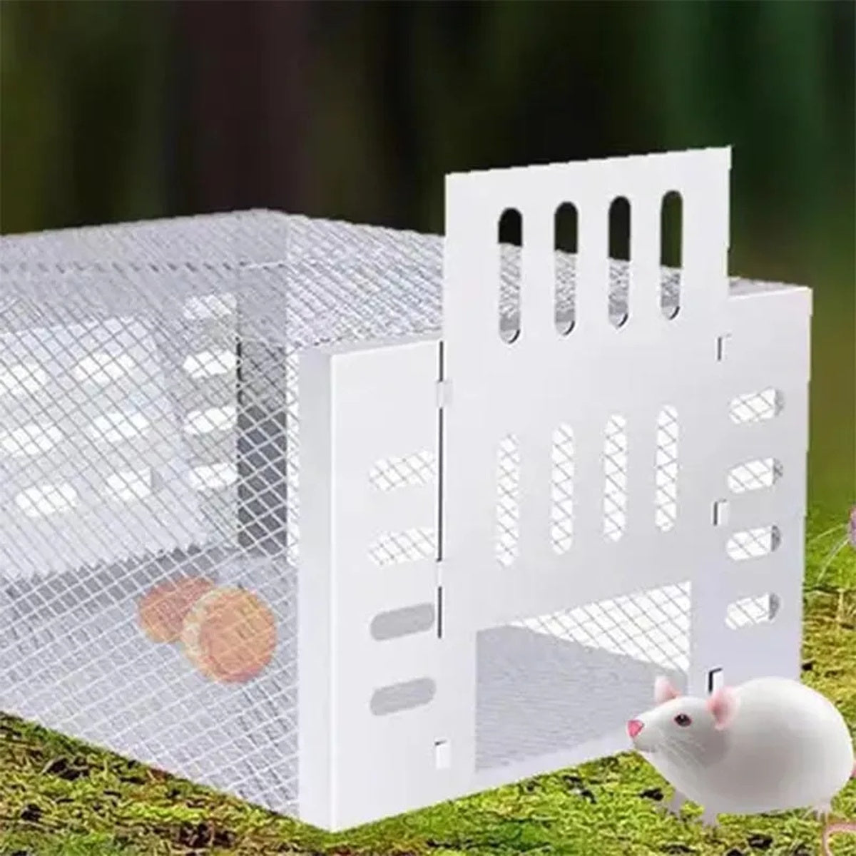 Automatic Continuous Cycle Mouse Trap – Vellorica